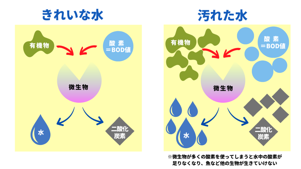 きれいな水を守るために。まずは台所の生活排水から!~家庭でできる「地球のきれい」 株式会社 イー・エス・エス